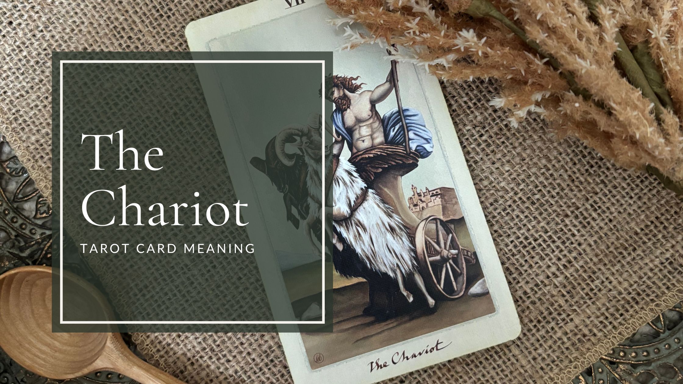 The Chariot Tarot Meanings | Upright and Reversed